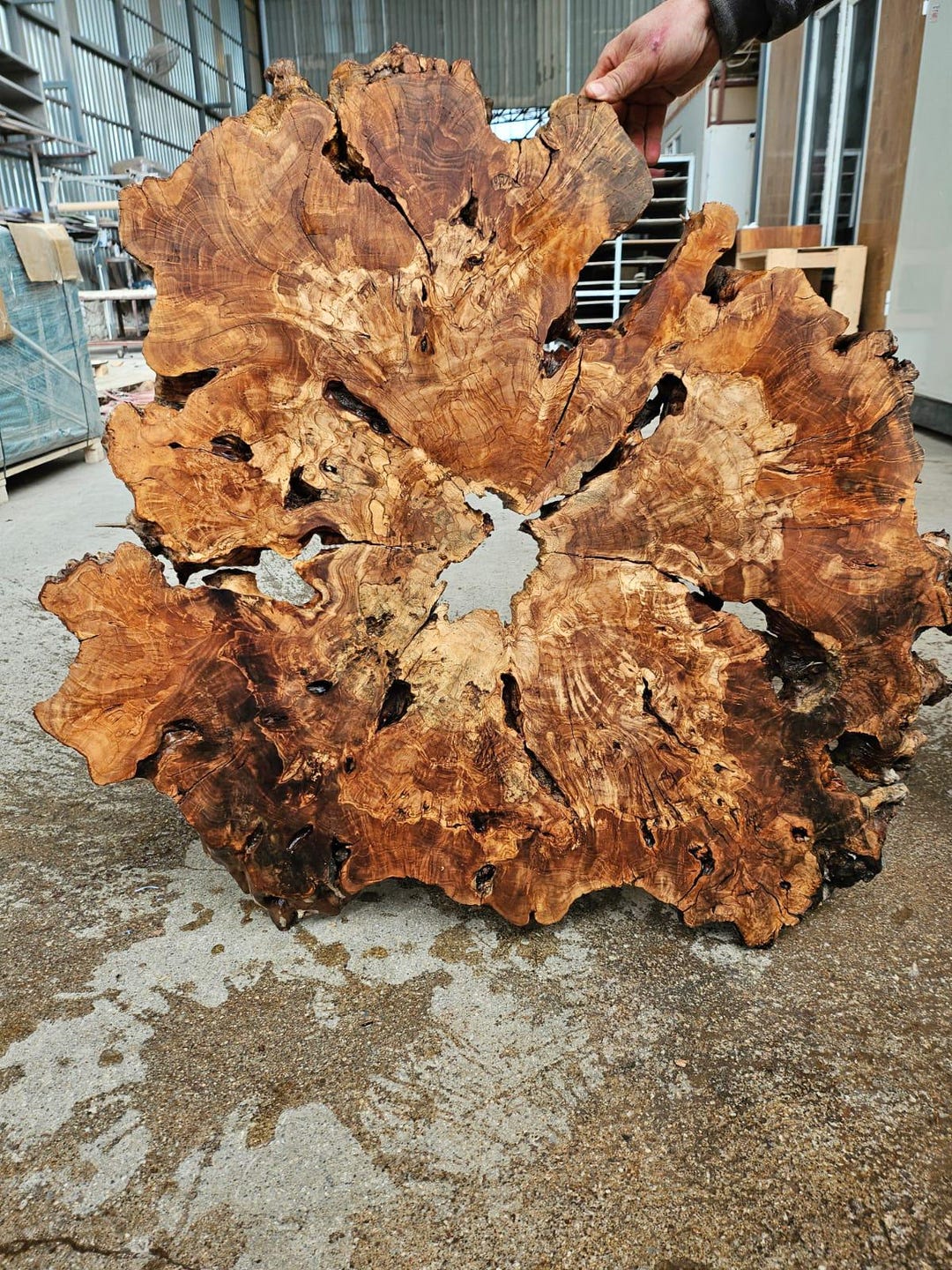 The Round Root of the Turkish Olive Tree: Kiln Dried Rustic Lumber for ...