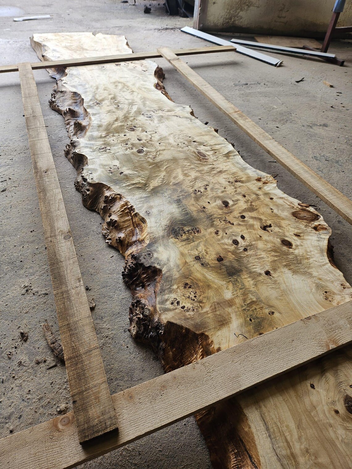 Natural Mappa Burl One Piece Wood Slab: Live Edge Rustic Lumber for ...