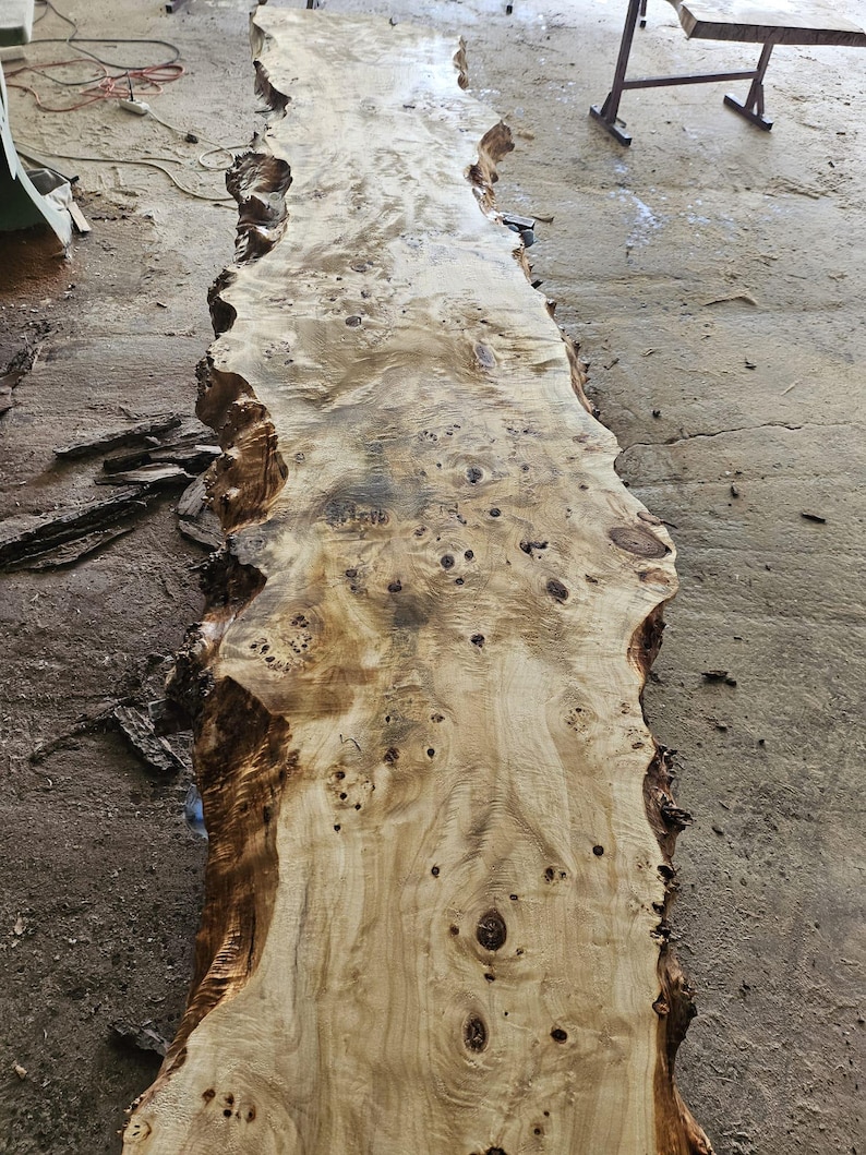 Natural Mappa Burl One Piece Wood Slab: Live Edge Rustic Lumber for ...