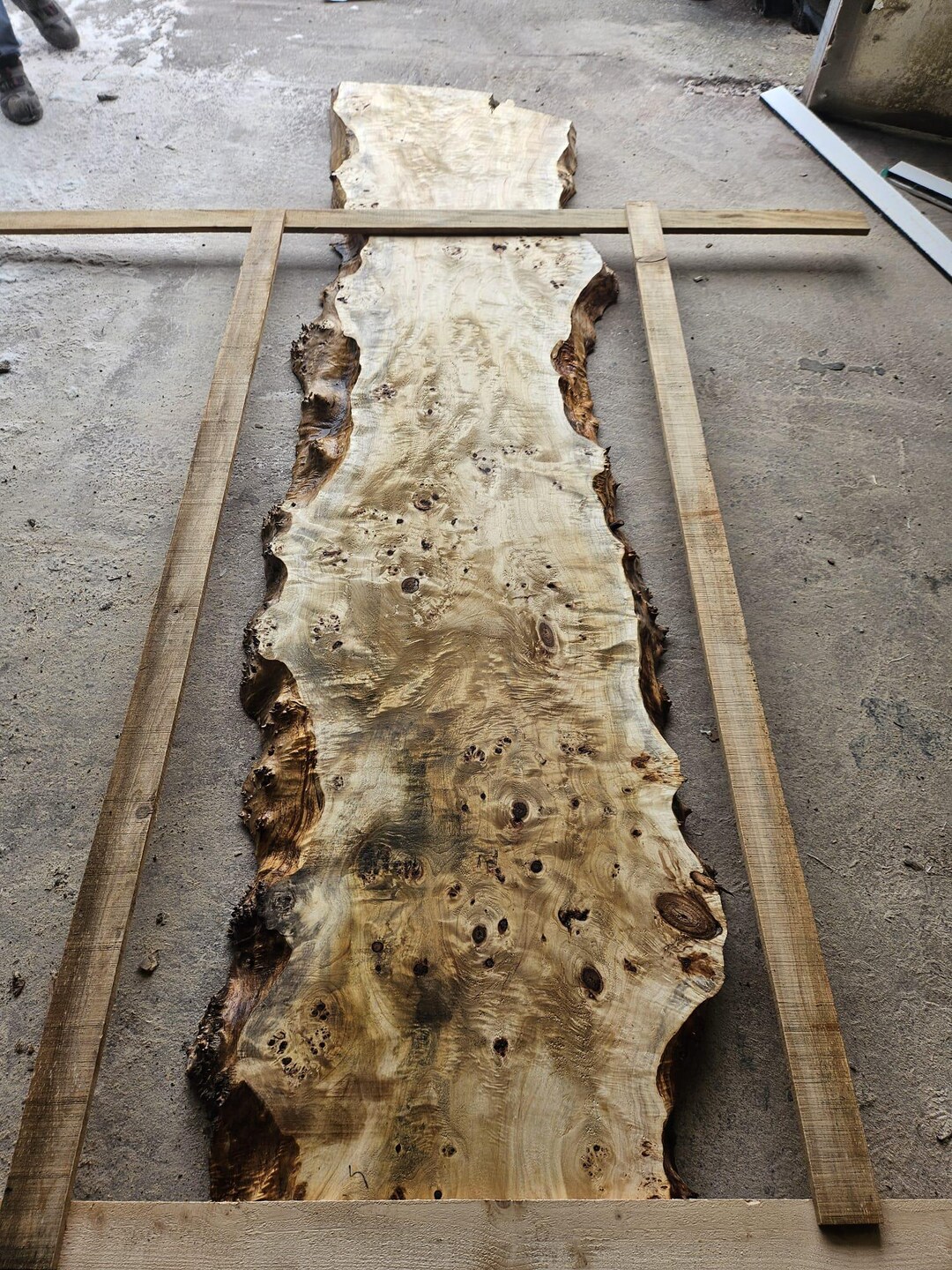 Natural Mappa Burl One Piece Wood Slab: Live Edge Rustic Lumber for ...