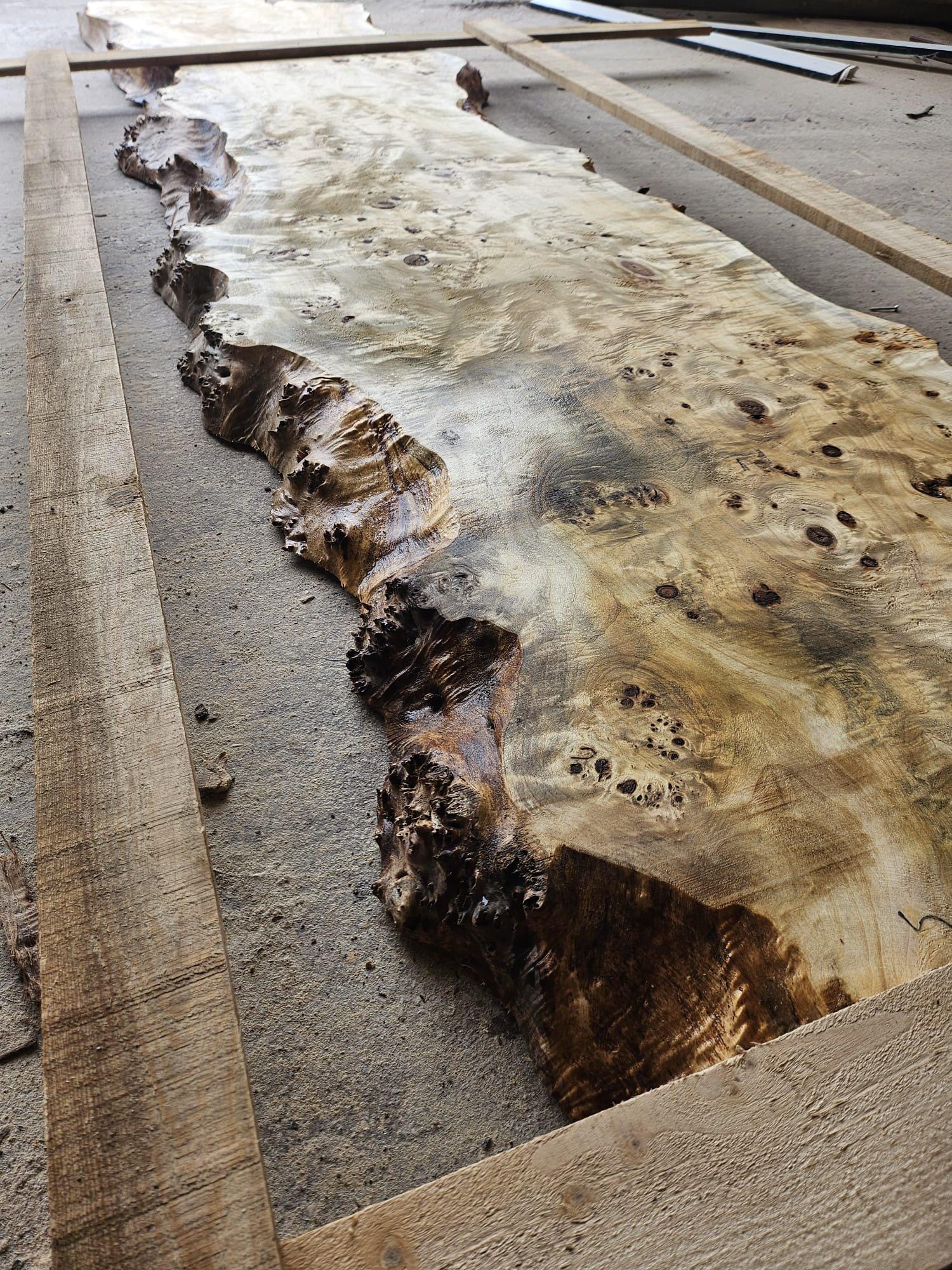 Natural Mappa Burl One Piece Wood Slab: Live Edge Rustic Lumber for ...
