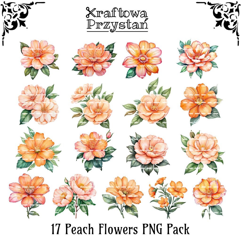 17 Peach Flowers, PNG Files, Vectors, Cliparts, High Resolution ...