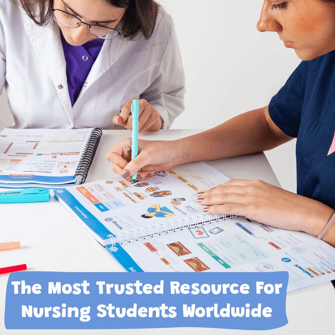 Nursing Notes Bundle / BNE Guide DIGITAL Version PDF - Etsy