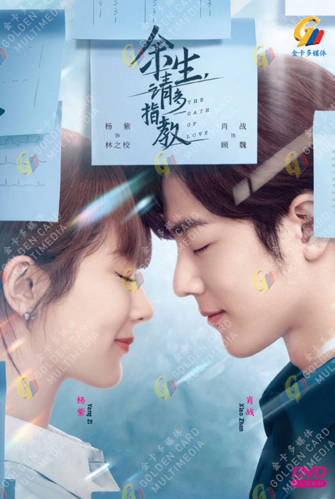 DVD Movies Chinese Drama the Oath of Love 余生，请多指教 Eps 1-29END English ...