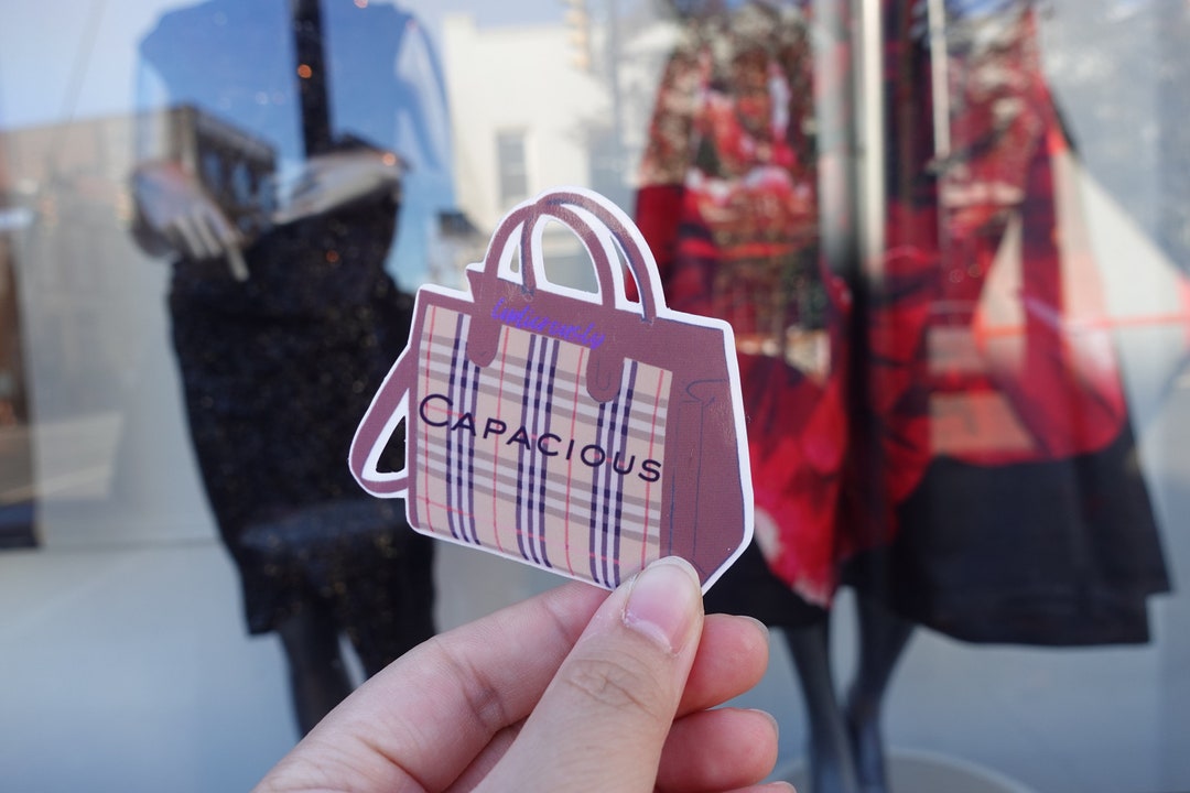 Ludicrously Capacious Sticker | Succession Inspired - Etsy