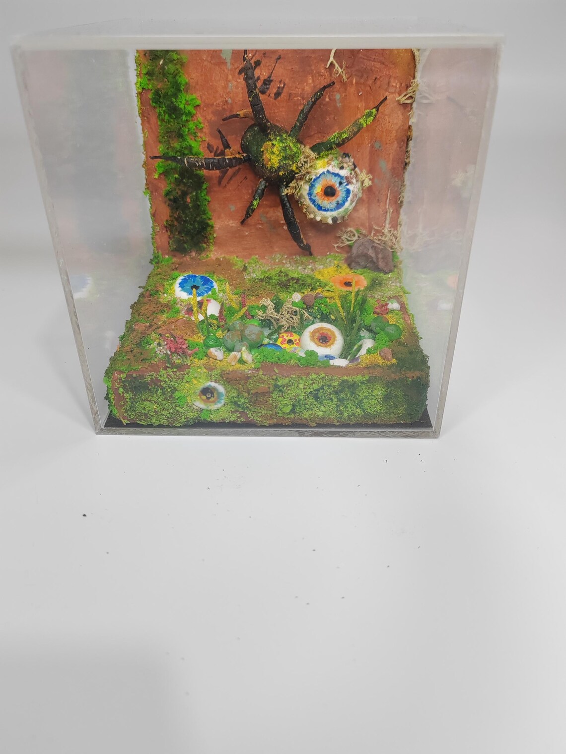 Spider Diorama Cube 12x12x12 - Etsy