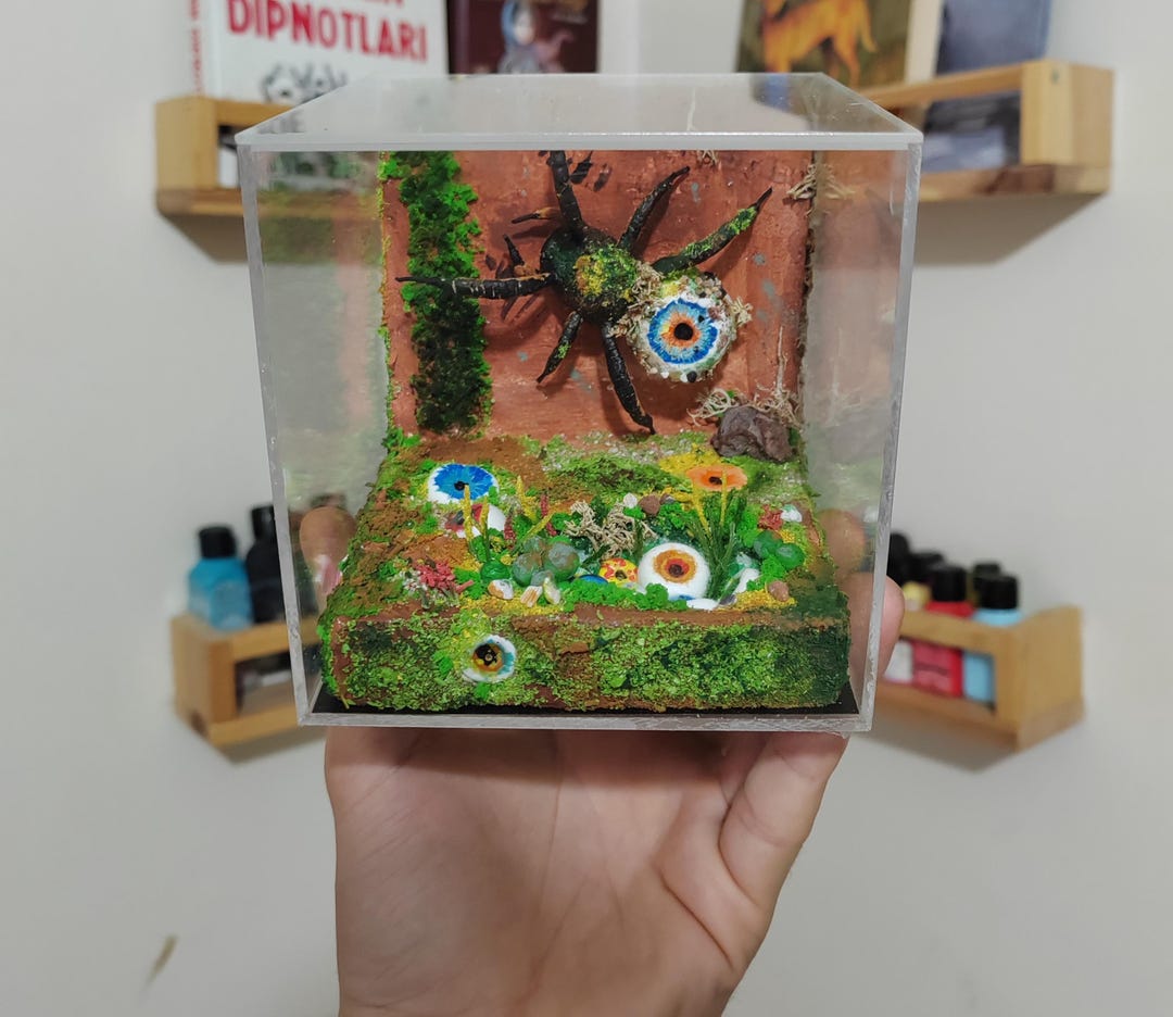 Spider Diorama Cube 12x12x12 - Etsy