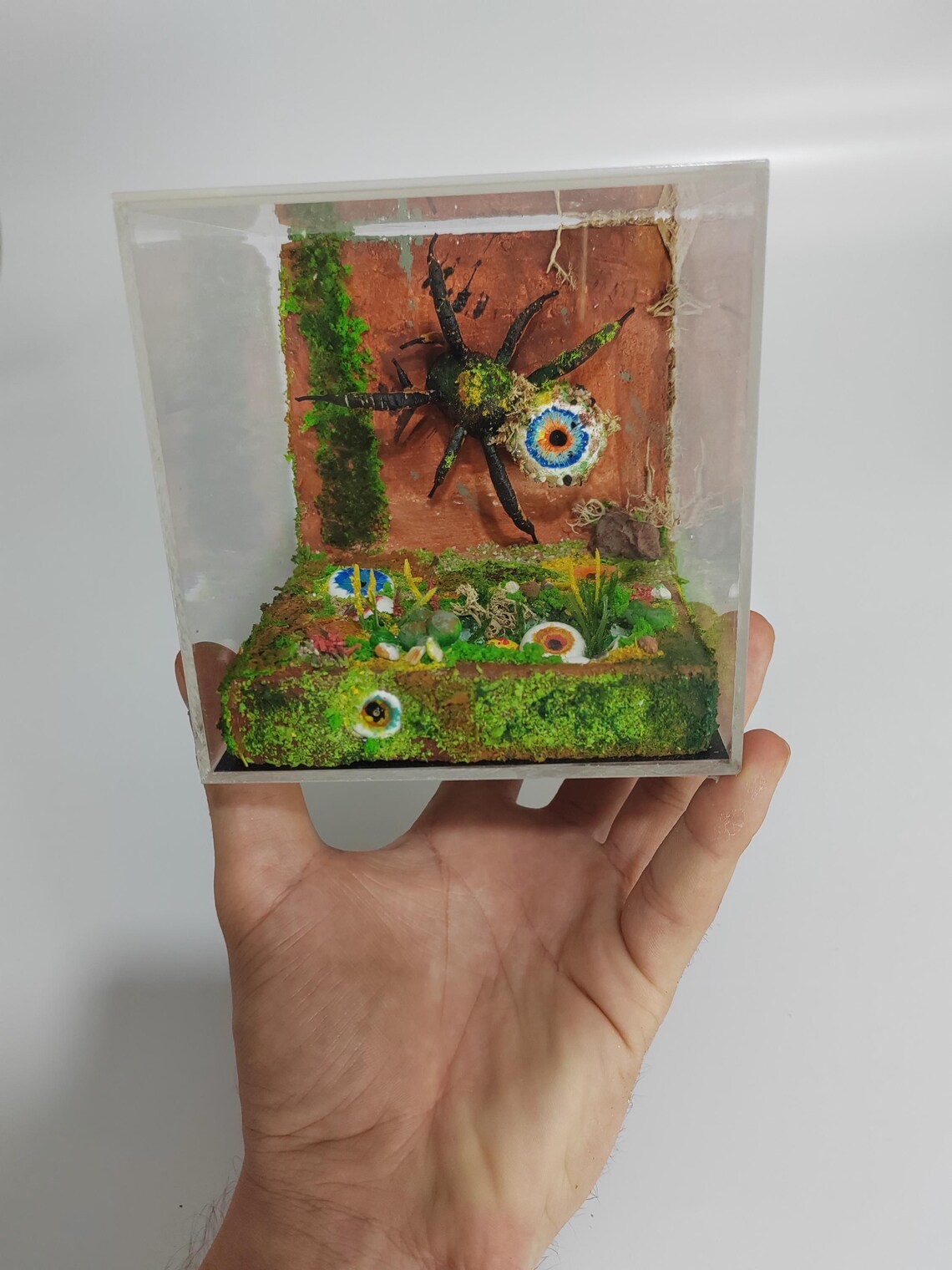 Spider Diorama Cube 12x12x12 - Etsy