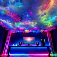 Pre-made Cloud Ceiling | Quick & Easy - No Mess | Tik Tok Cloud Light ...