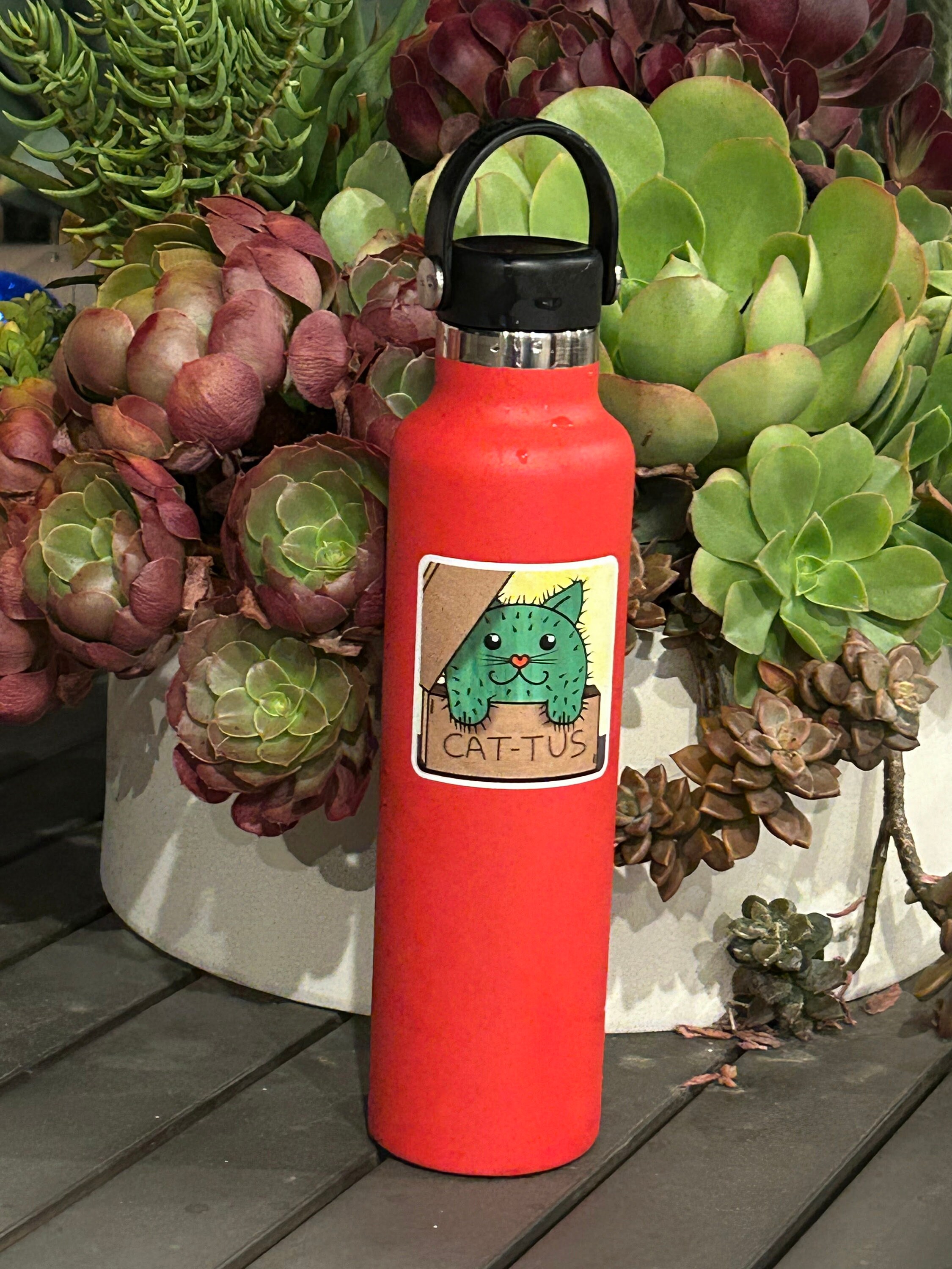 CAT TUS Sticker, Cute Botanical Decal, Succulent Desert Plant Sticker ...