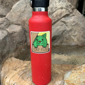 CAT TUS Sticker, Cute Botanical Decal, Succulent Desert Plant Sticker ...