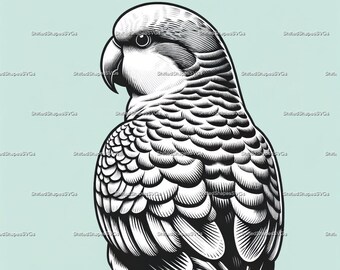 Quaker Parrot SVG 3D Layered Monk Parakeet Cutting File - Etsy