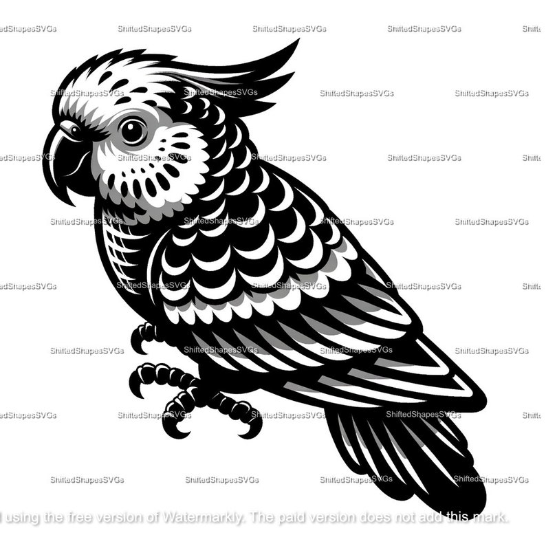 Conure SVG Bundle - Etsy