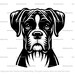 Boxer SVG Bundle - Etsy