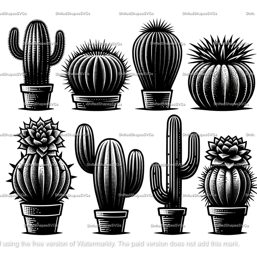 Cactus Variety SVG Bundle - Etsy