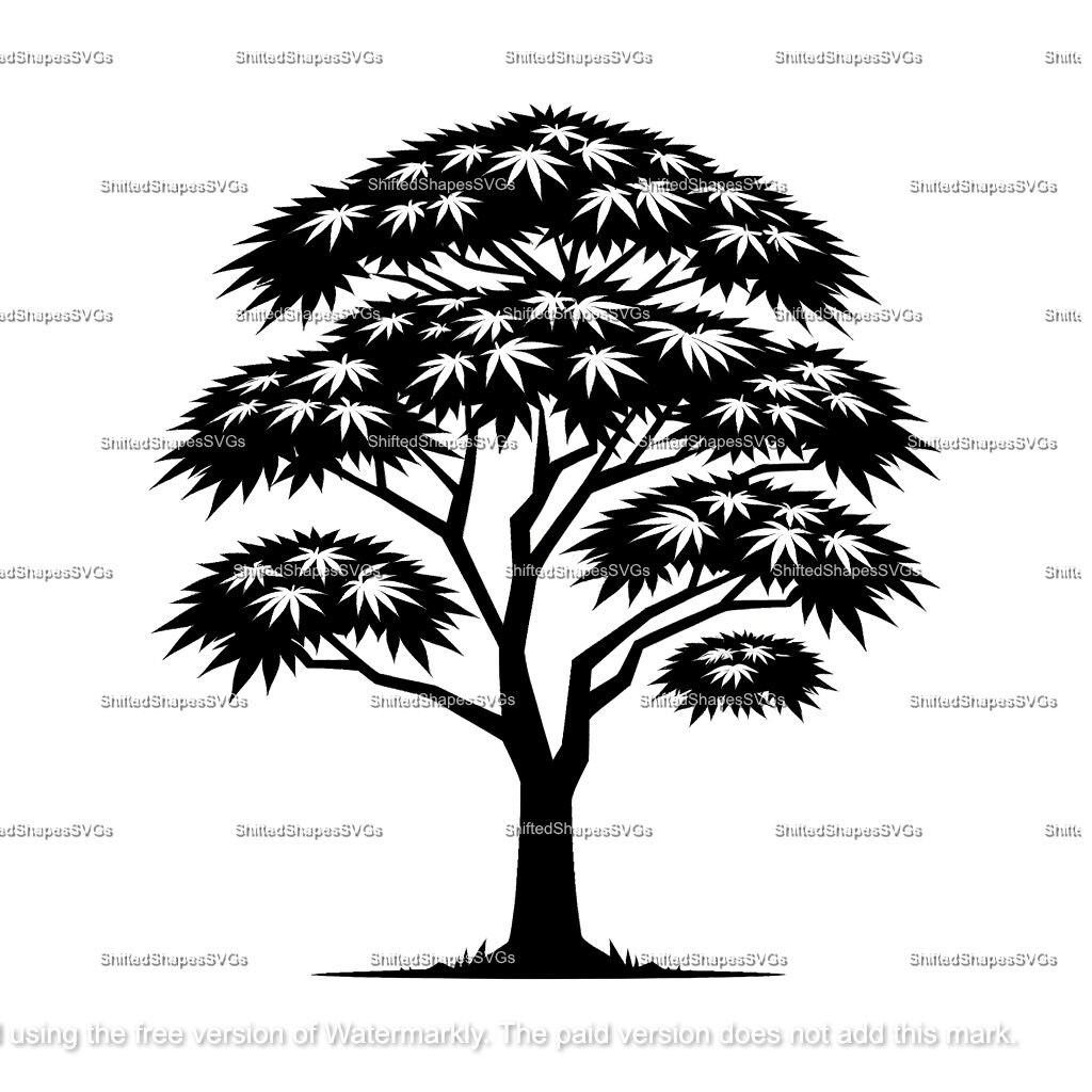 Japanese Maple SVG Bundle - Etsy