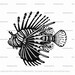 Lionfish SVG Bundle - Etsy