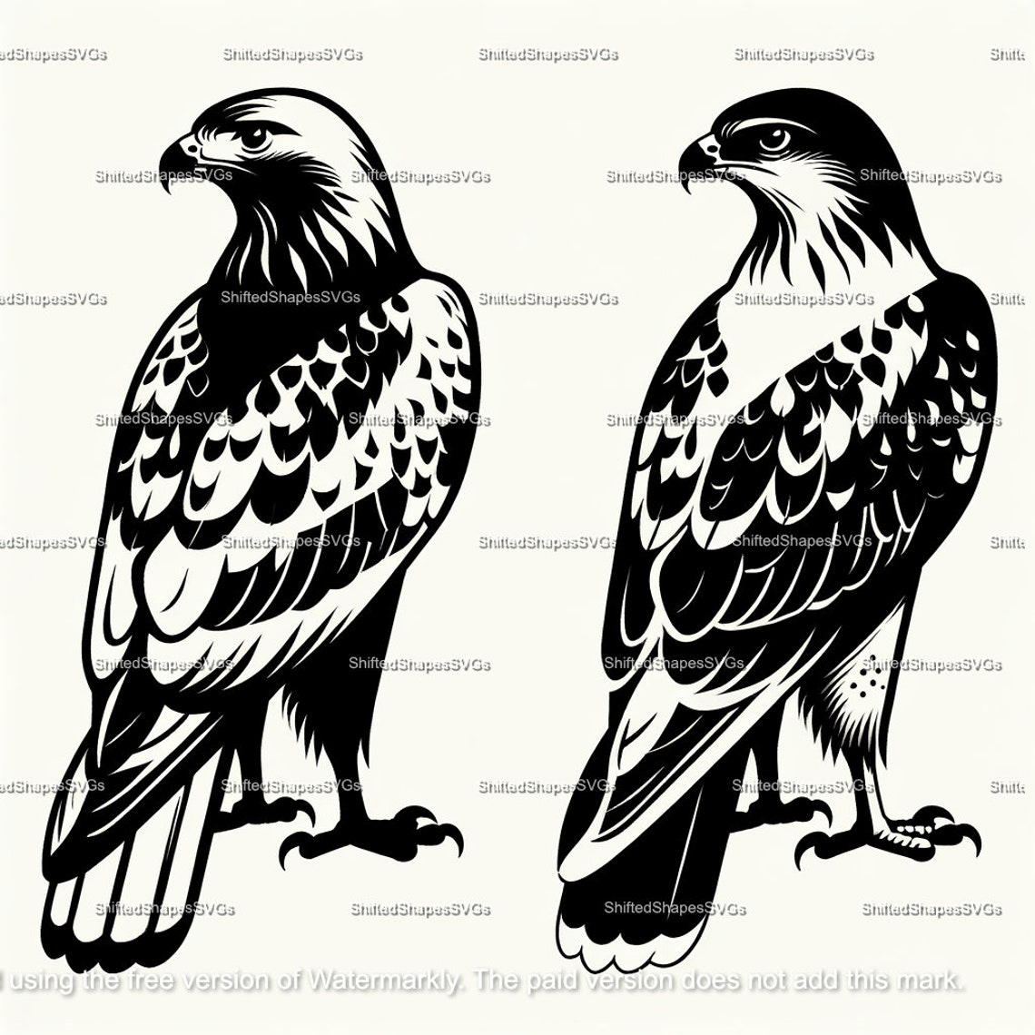 Red-tailed Hawk SVG Bundle - Etsy