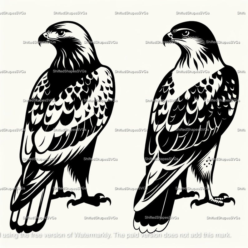 Red-tailed Hawk SVG Bundle - Etsy