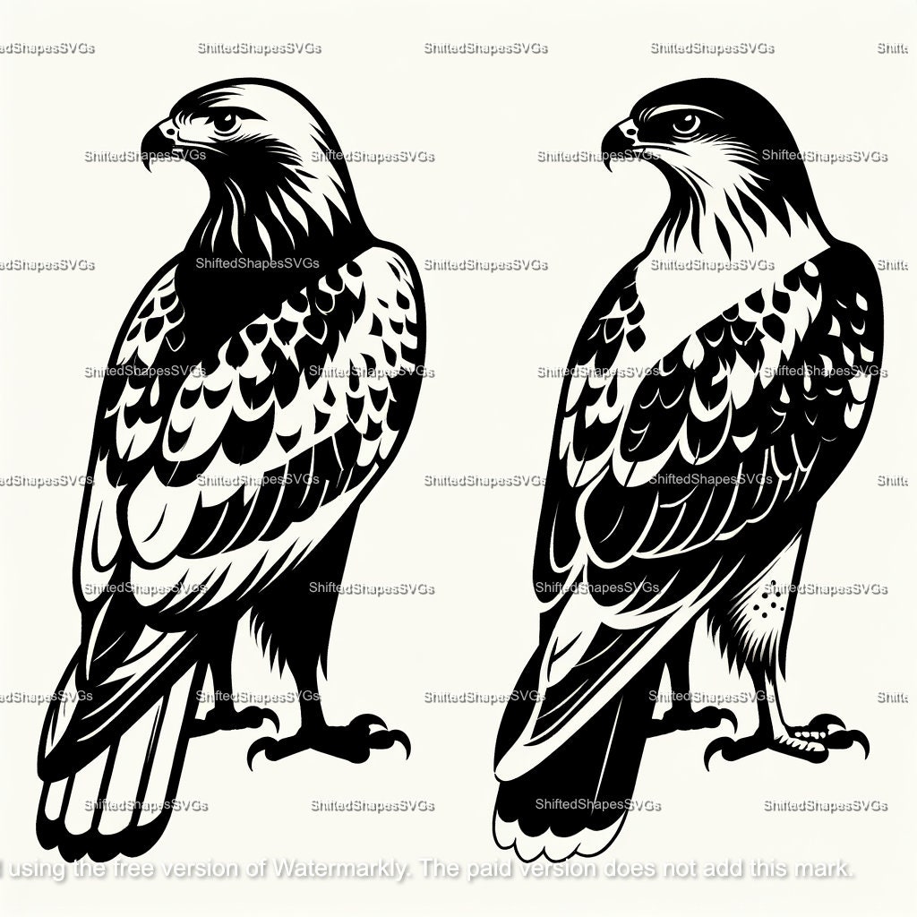Red-tailed Hawk SVG Bundle - Etsy