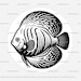 Discus Fish SVG Bundle - Etsy
