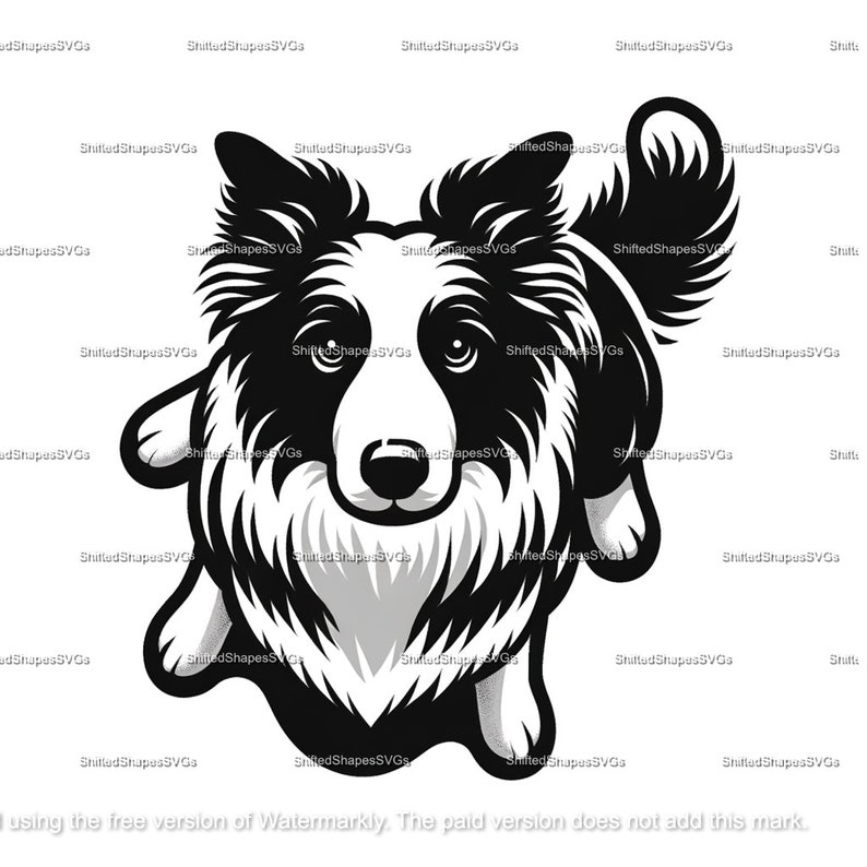 Border Collie SVG Bundle - Etsy