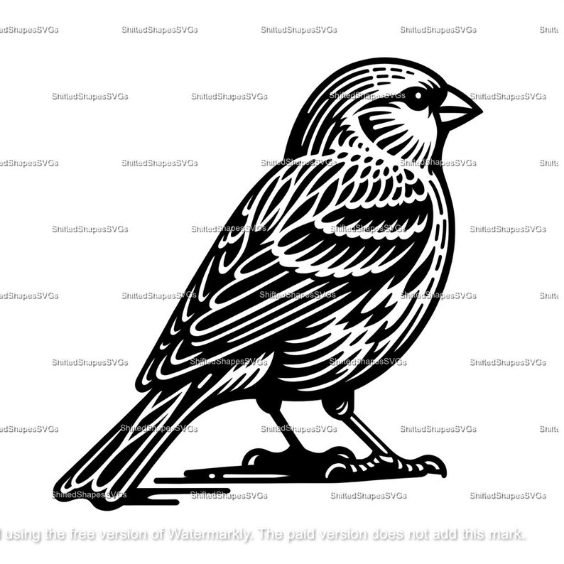 Canary SVG Bundle - Etsy