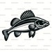 Walleye SVG Bundle - Etsy