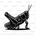 Grasshopper SVG Bundle - Etsy