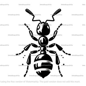 Ant SVG Bundle - Etsy