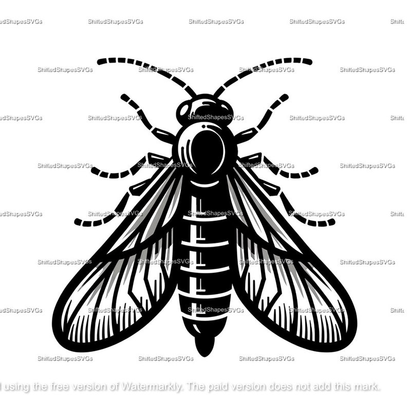 Firefly SVG Bundle - Etsy