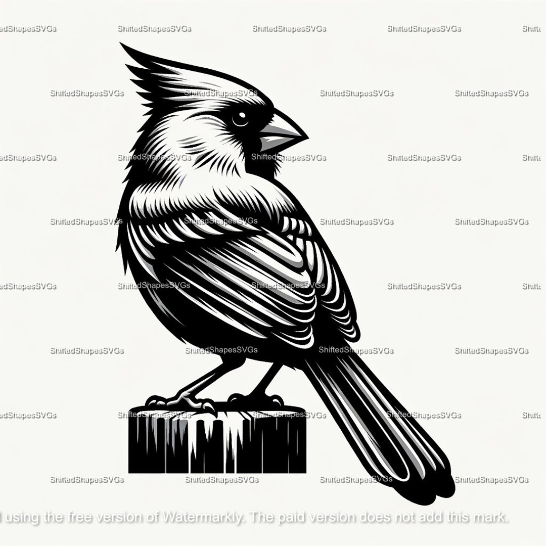 Northern Cardinal SVG Bundle - Etsy