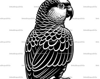 Conure Outlined Digital Art Files - 8 SVG & PNG Bundle - Green Cheek ...