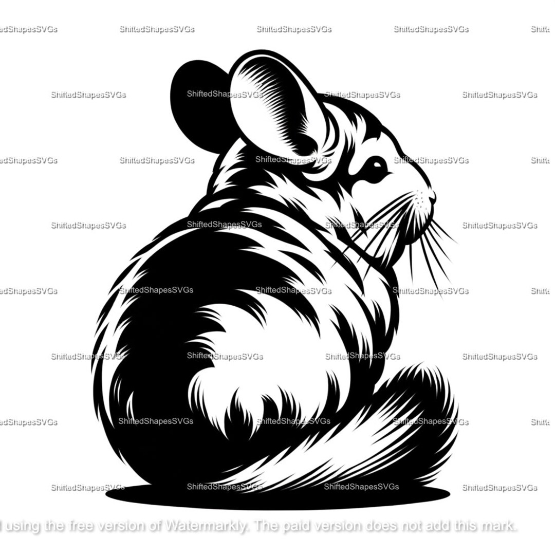 Chinchilla SVG Bundle - Etsy