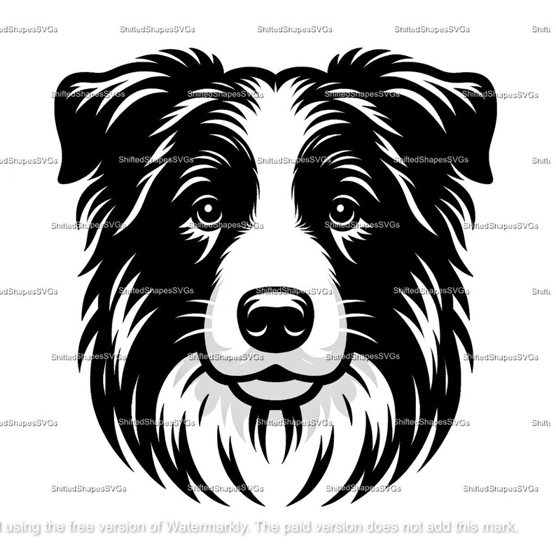 Border Collie SVG Bundle - Etsy