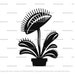 Venus Flytrap SVG Bundle - Etsy