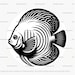 Discus Fish SVG Bundle - Etsy