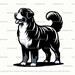 Bernese Mountain Dog SVG Bundle - Etsy