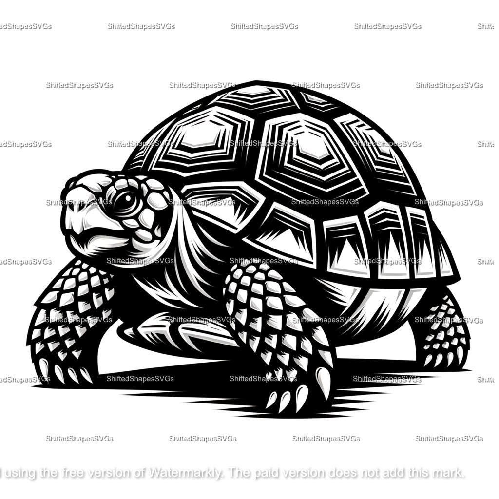 Sulcata Tortoise SVG Bundle - Etsy