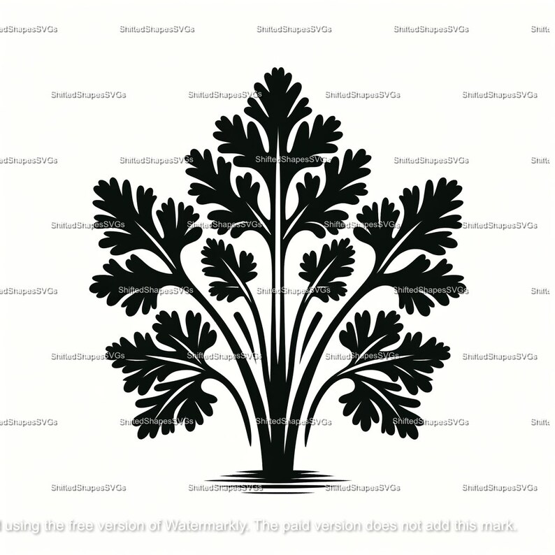 Cilantro SVG Bundle - Etsy