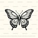 Butterfly SVG Bundle - Etsy