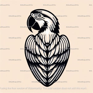 Macaw SVG Bundle - Etsy