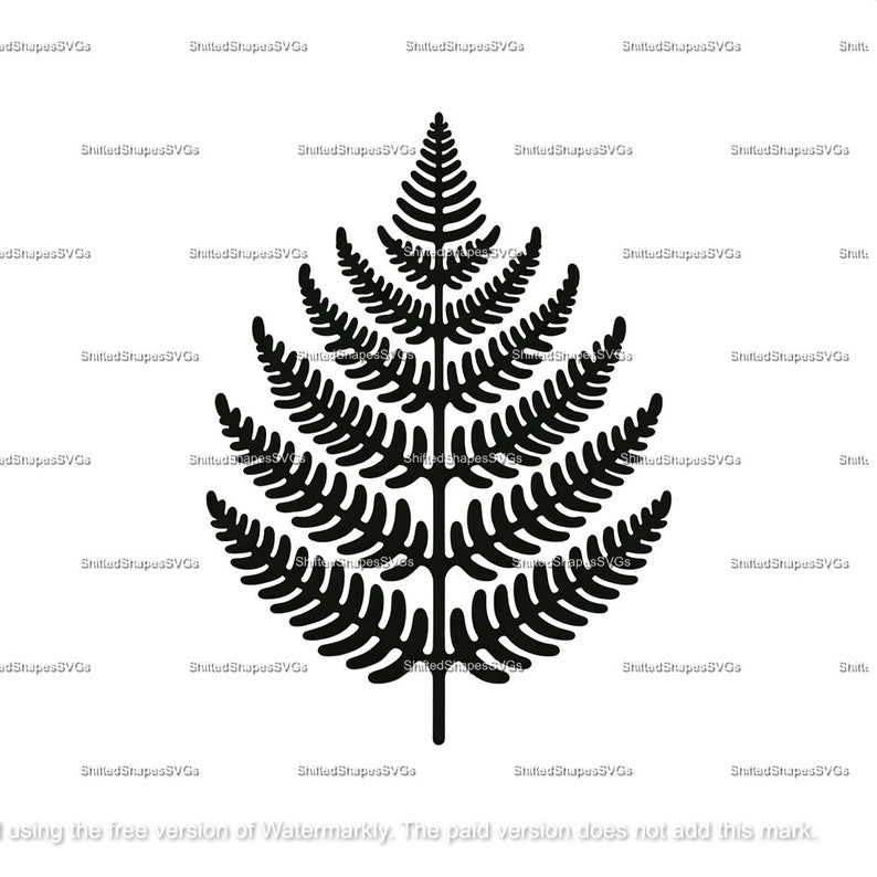 Fern SVG Bundle - Etsy
