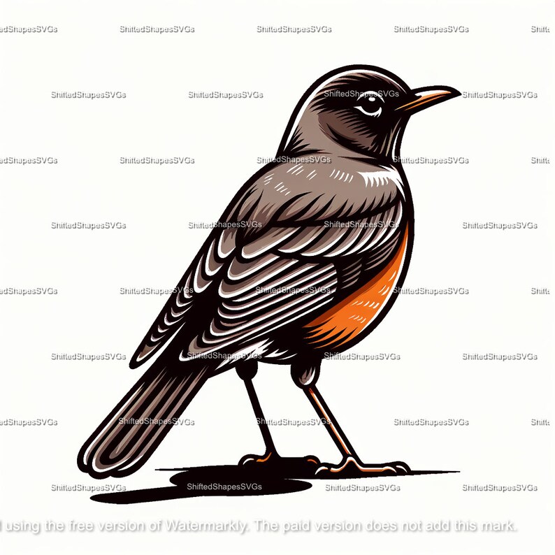 American Robin SVG Bundle - Etsy