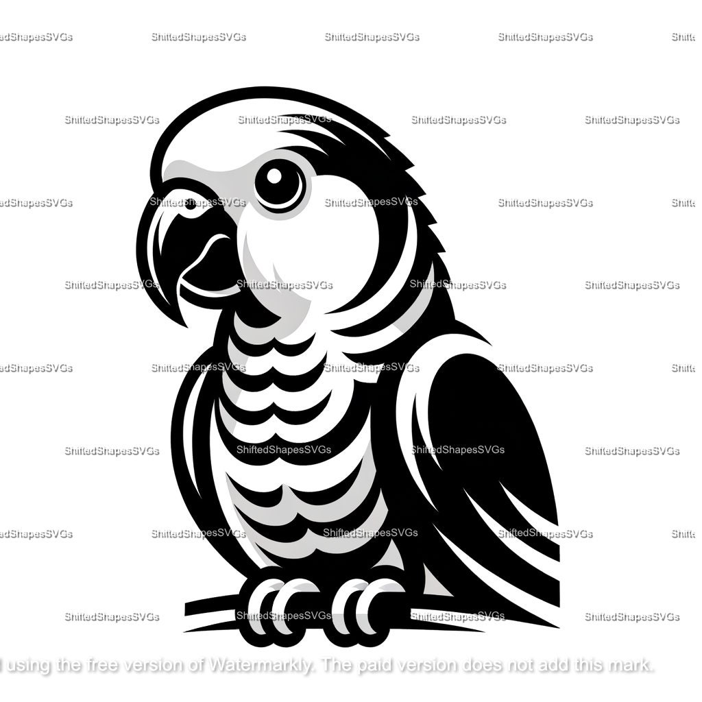 Conure SVG Bundle - Etsy