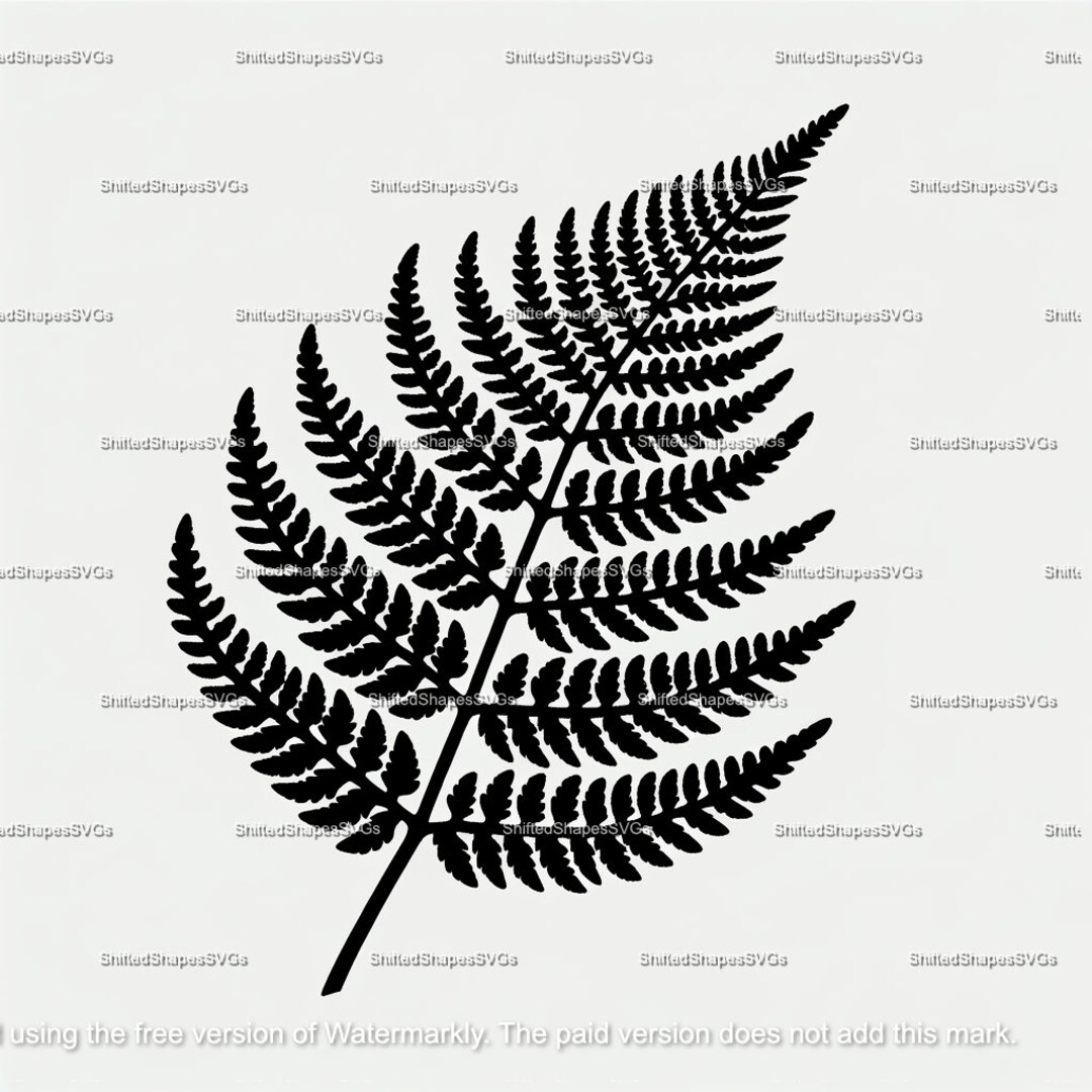 Fern SVG Bundle - Etsy