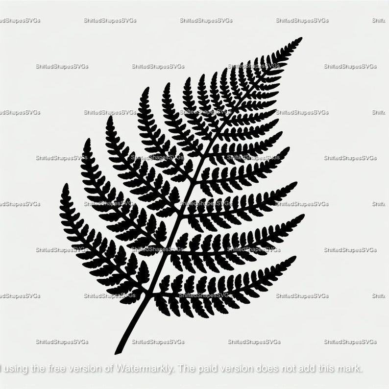 Fern SVG Bundle - Etsy