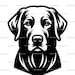 Labrador Retriever SVG Bundle - Etsy