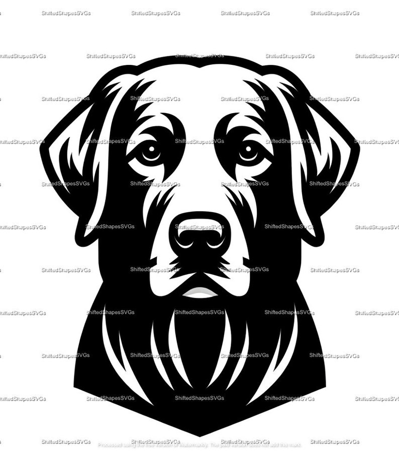 Labrador Retriever SVG Bundle - Etsy