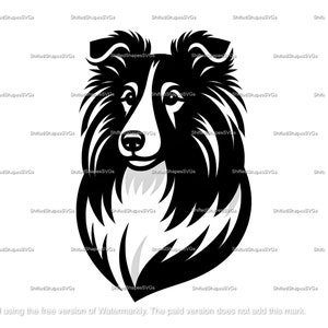 Shetland Sheepdog SVG Bundle - Etsy